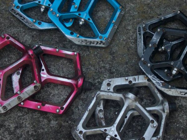 The Elite Vaison Hard Bike Case - Bikecycling Reviews